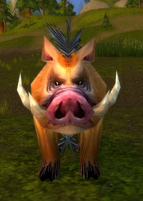 Mudbelly Boar - NPC - Mists of Pandaria Classic
