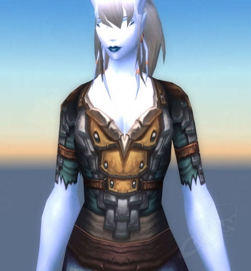 Hiriwatha Vest Item World Of Warcraft