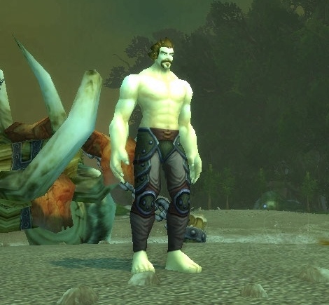 Feather Lined Legguards - Item - Mists of Pandaria Classic