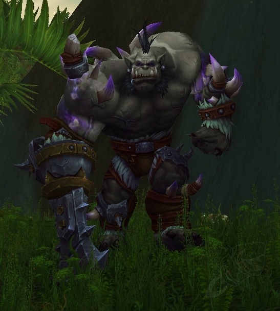 Bleeding Hollow Berserker - NPC - World of Warcraft