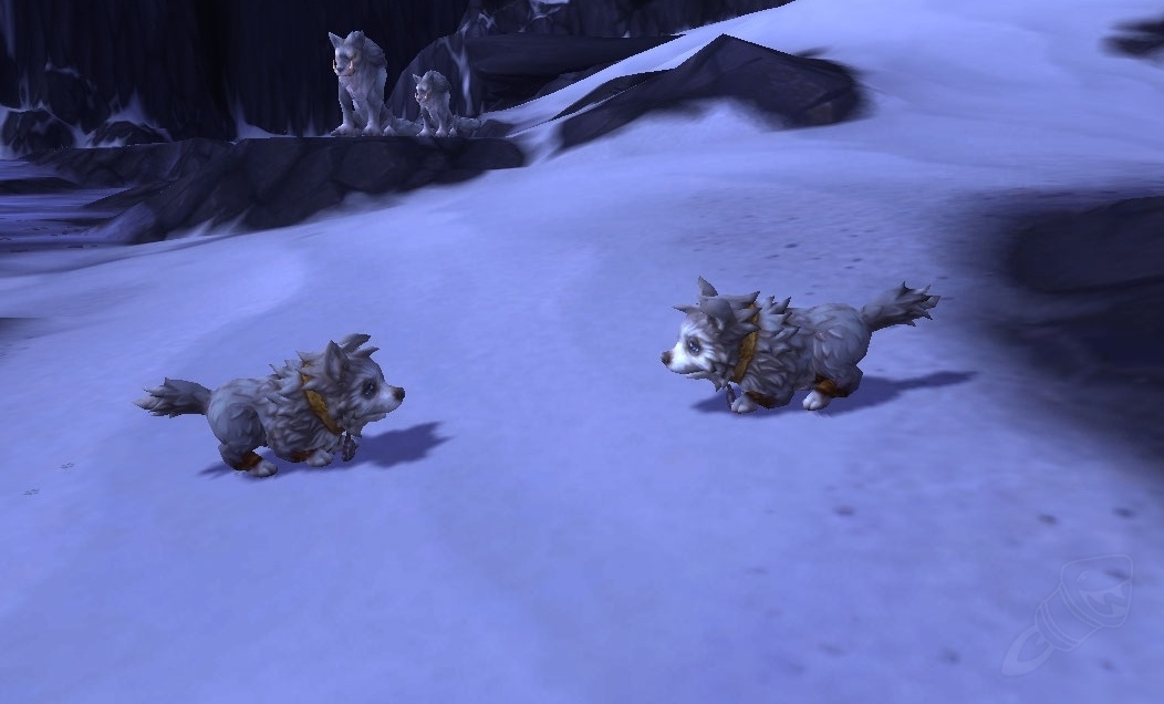 Filhote de Lobo do Gelo - PNJ - World of Warcraft
