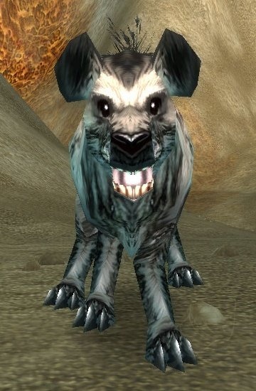 Skelettpfote der Magram - NPC - Mists of Pandaria Classic