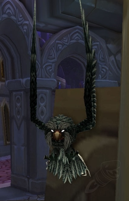 Hawk Owl - Item - World of Warcraft