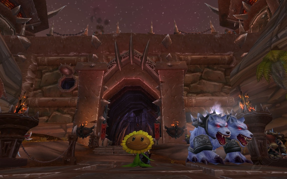 Singing Sunflower - NPC - Mists of Pandaria Classic