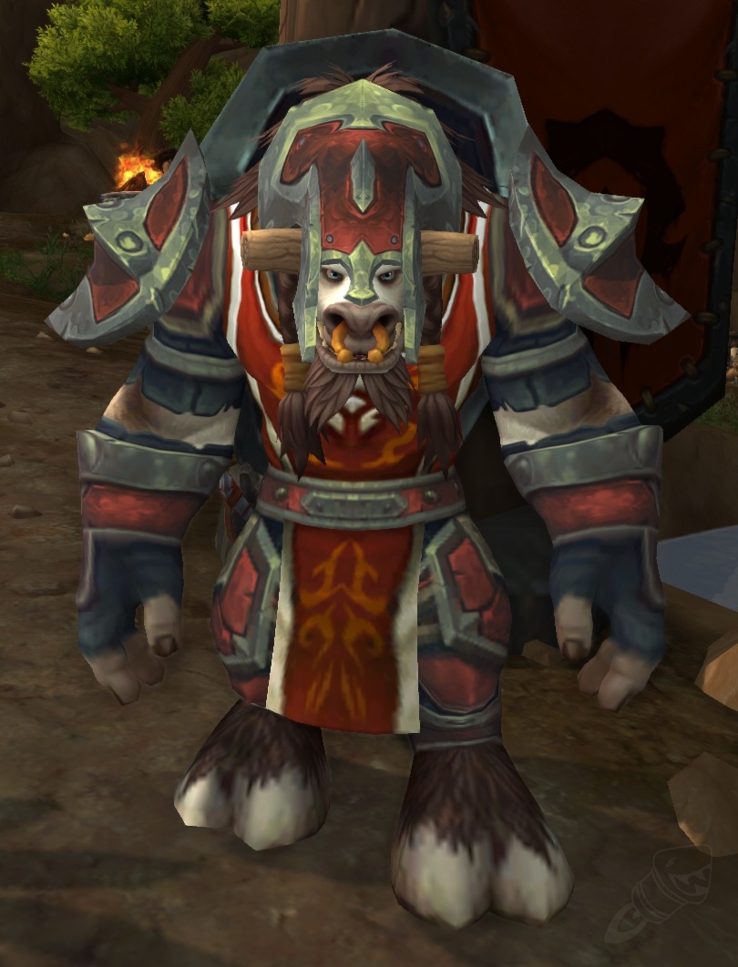 Vigía de Wor'var - PNJ - World of Warcraft