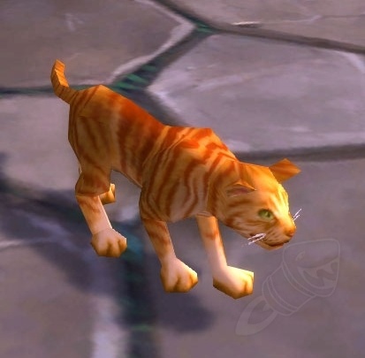 Gato lugareño - PNJ - World of Warcraft