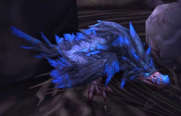 Poussin de Chutelune - PNJ - World of Warcraft