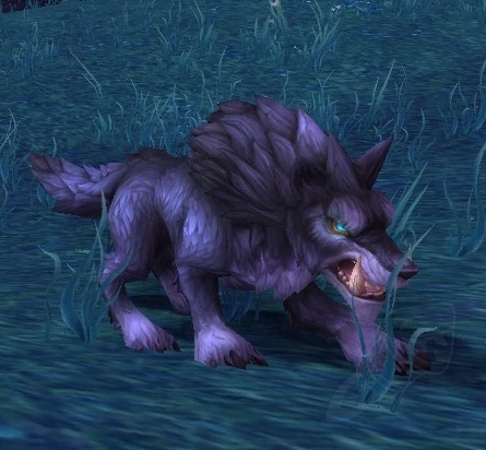 Shadowmoon Stalker - NPC - World of Warcraft