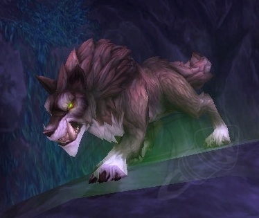Cursed Wolf - NPC - World of Warcraft