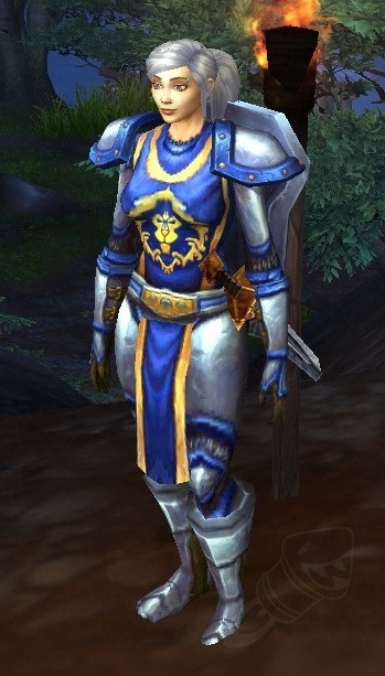 Stormshield Guard - NPC - World of Warcraft