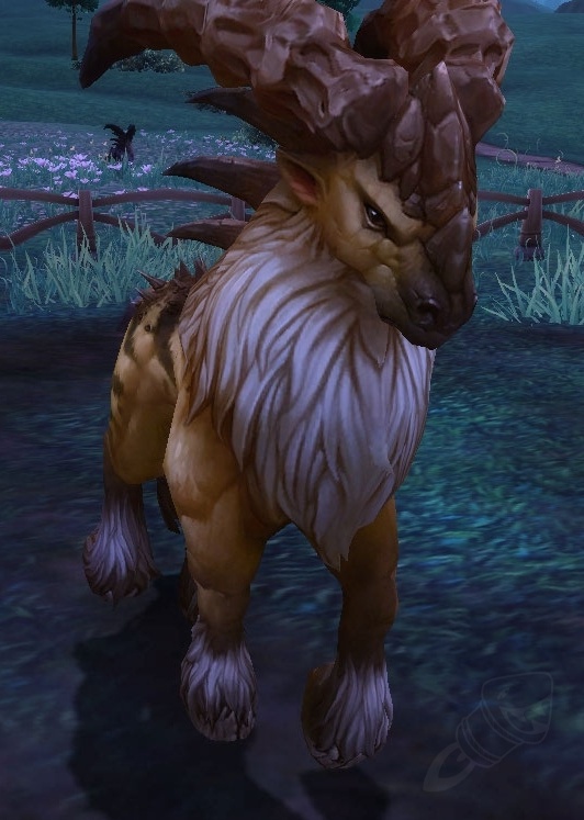 Beloved Talbuk - NPC - World of Warcraft