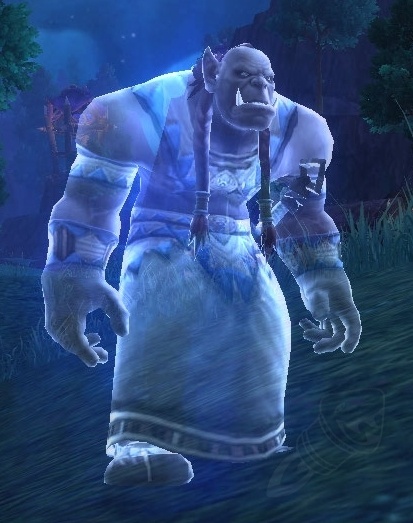 Shadowmoon Spirit - NPC - World of Warcraft