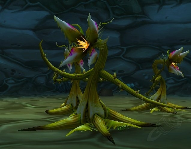Constrictor Vine - NPC - Classic World of Warcraft
