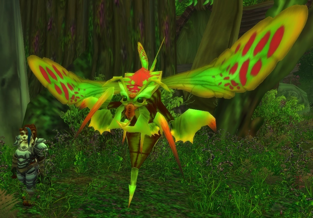 Cida - NPC - Mists of Pandaria Classic