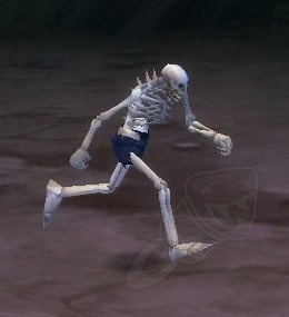 Splinterbone Skeleton - NPC - Classic World of Warcraft