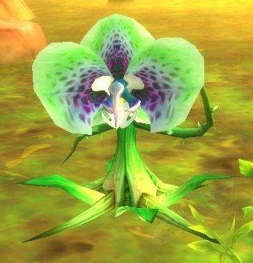 Angered Sapling - NPC - World of Warcraft