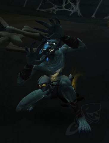 Pale Spider Worshipper - NPC - World of Warcraft