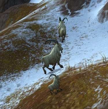 Wild Mountain Goat - NPC - Mists of Pandaria Classic