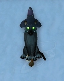 Feline Familiar - Item - Mists of Pandaria Classic