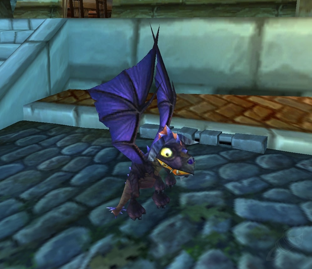 Engendro de Onyxia - PNJ - [Mists of Pandaria Classic]