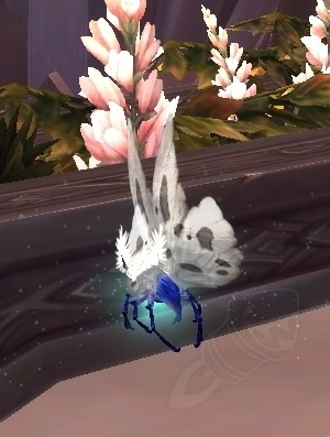 Grace - NPC - World of Warcraft