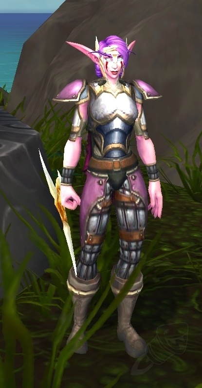 Stormshield Sentinel - NPC - World of Warcraft