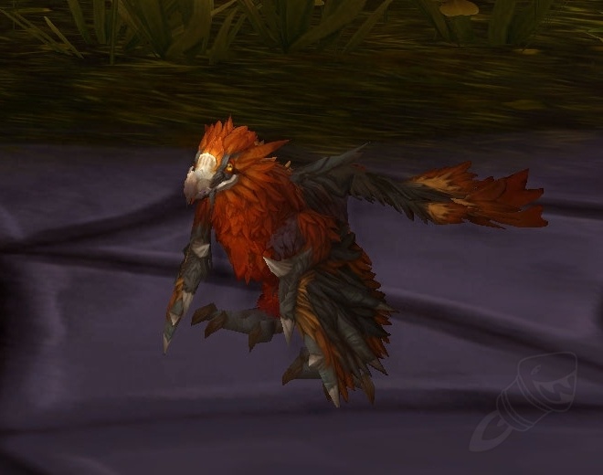 Teroclaw Hatchling - Item - World of Warcraft
