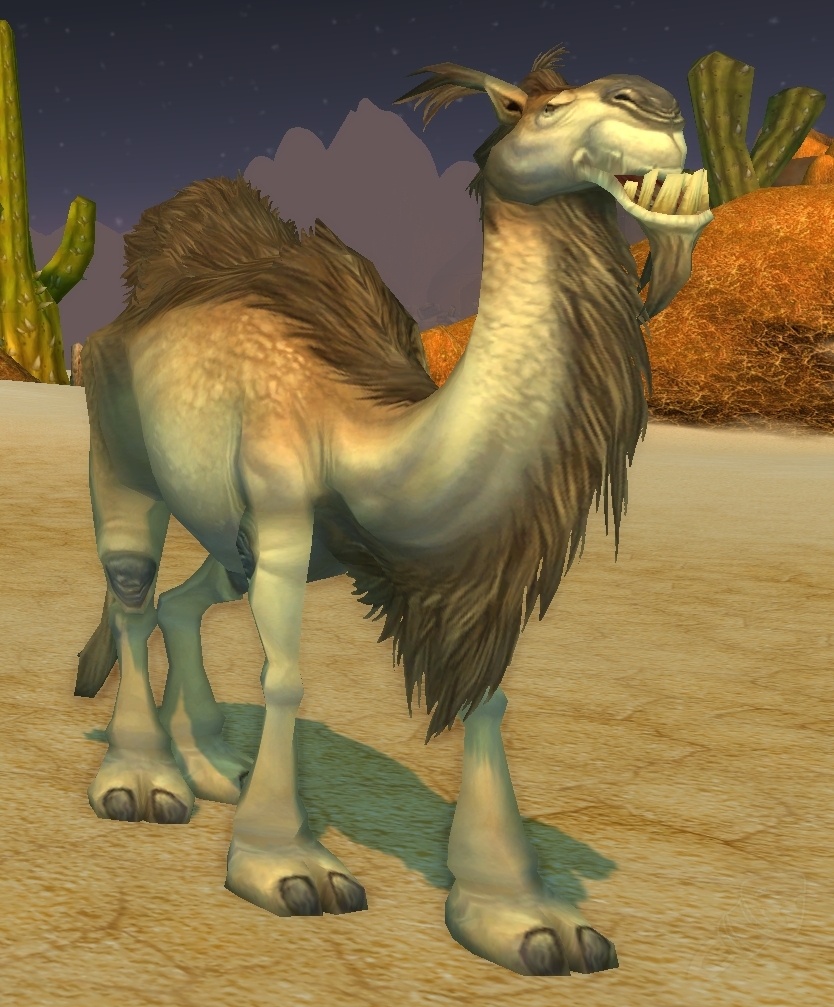 Lady Humps Npc World Of Warcraft