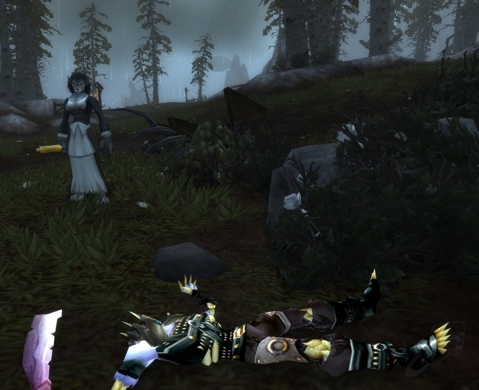 Grandma's Cat - Quest - Mists of Pandaria Classic