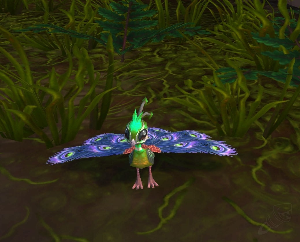 Everbloom Peachick - Item - World of Warcraft