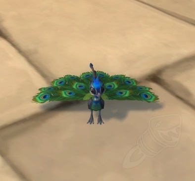 Pavo real regio - Objeto - World of Warcraft