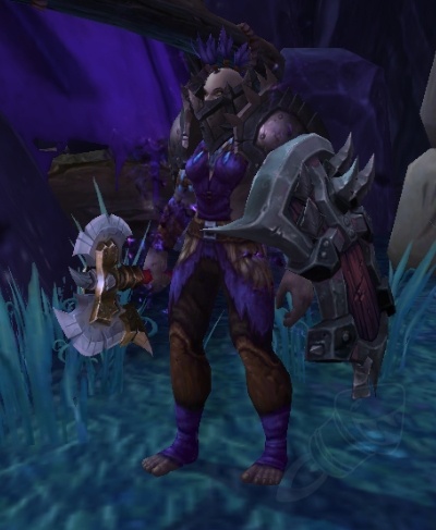 Shadowmoon Warrior - NPC - World of Warcraft