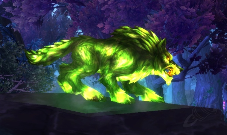 Cursed Wolf - NPC - World of Warcraft