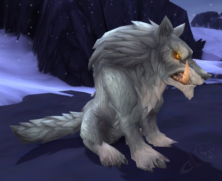 Lobo De Gelo Lobo Gelo Modelo Imagens Grátis No Pixabay