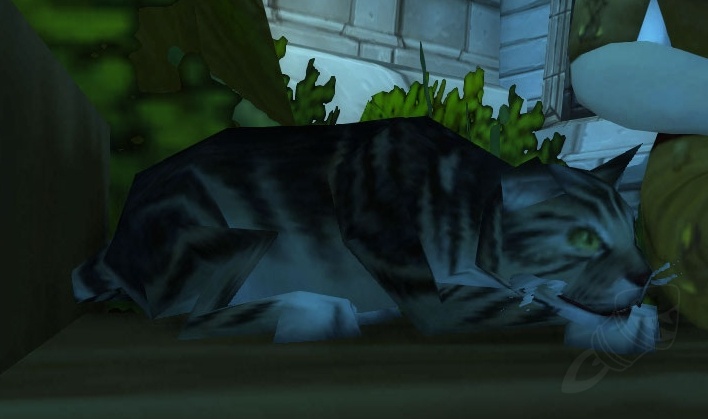 Brain - NPC - World of Warcraft