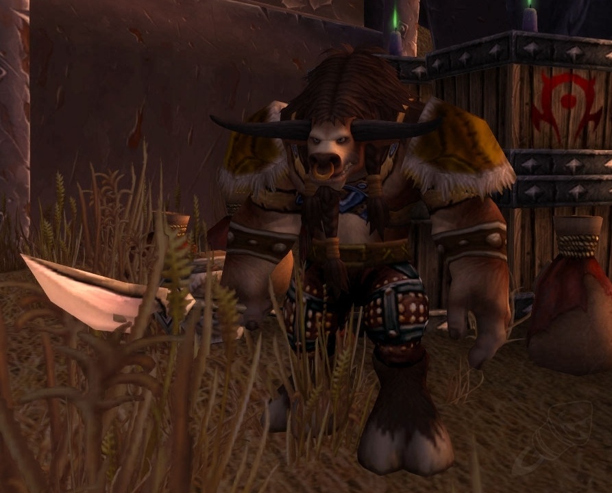 Tomusa - NPC - World of Warcraft