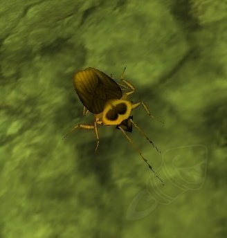 Tainted Cockroach - NPC - World of Warcraft