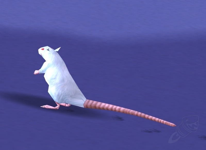 Frostfur Rat - NPC - World of Warcraft