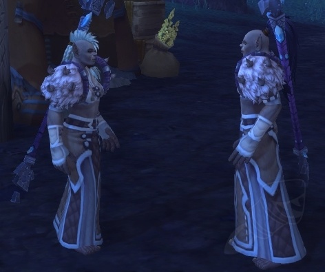 Void Priest Npc World Of Warcraft