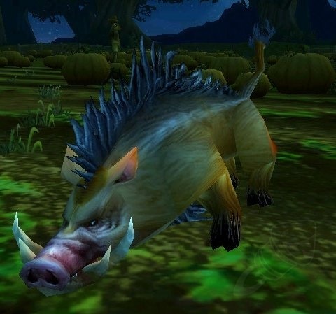 Porcine Entourage - NPC - TBC Classic