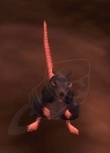Plagued Rat - NPC - Classic World of Warcraft