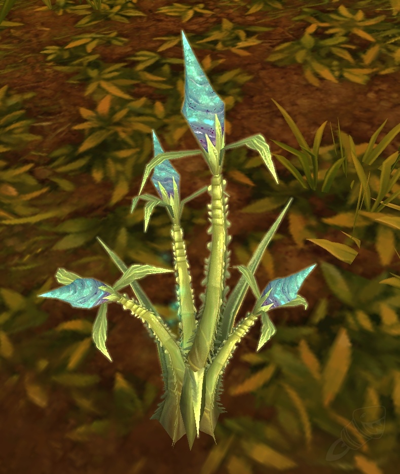 Nagrand Arrowbloom - Item - World of Warcraft