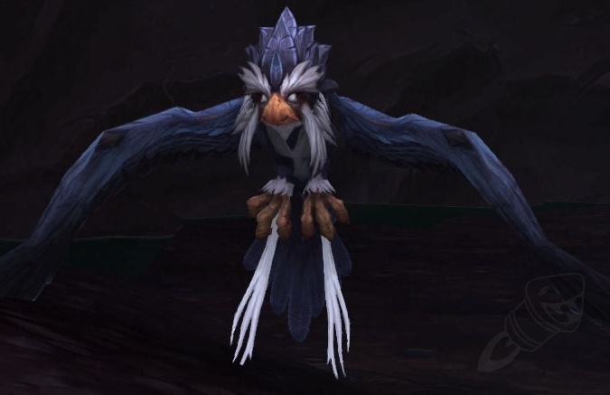 Nightslash Owl - NPC - World of Warcraft