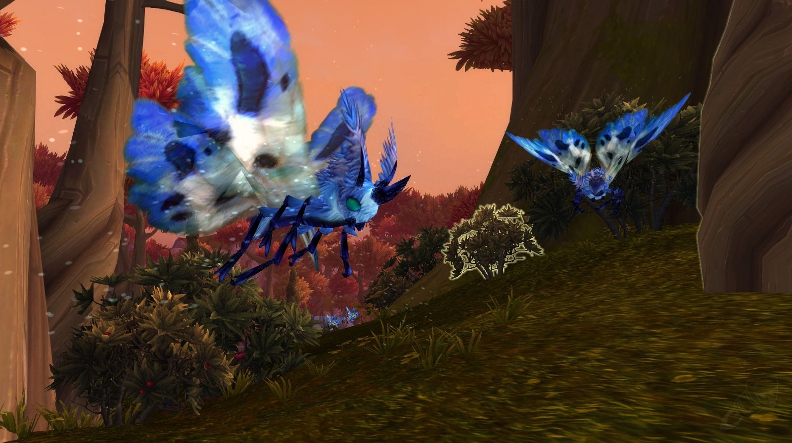 Dust of the Dead - Quest - World of Warcraft