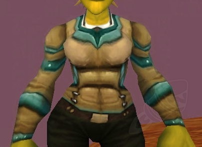 Fur-Lined Armor - Item - World of Warcraft