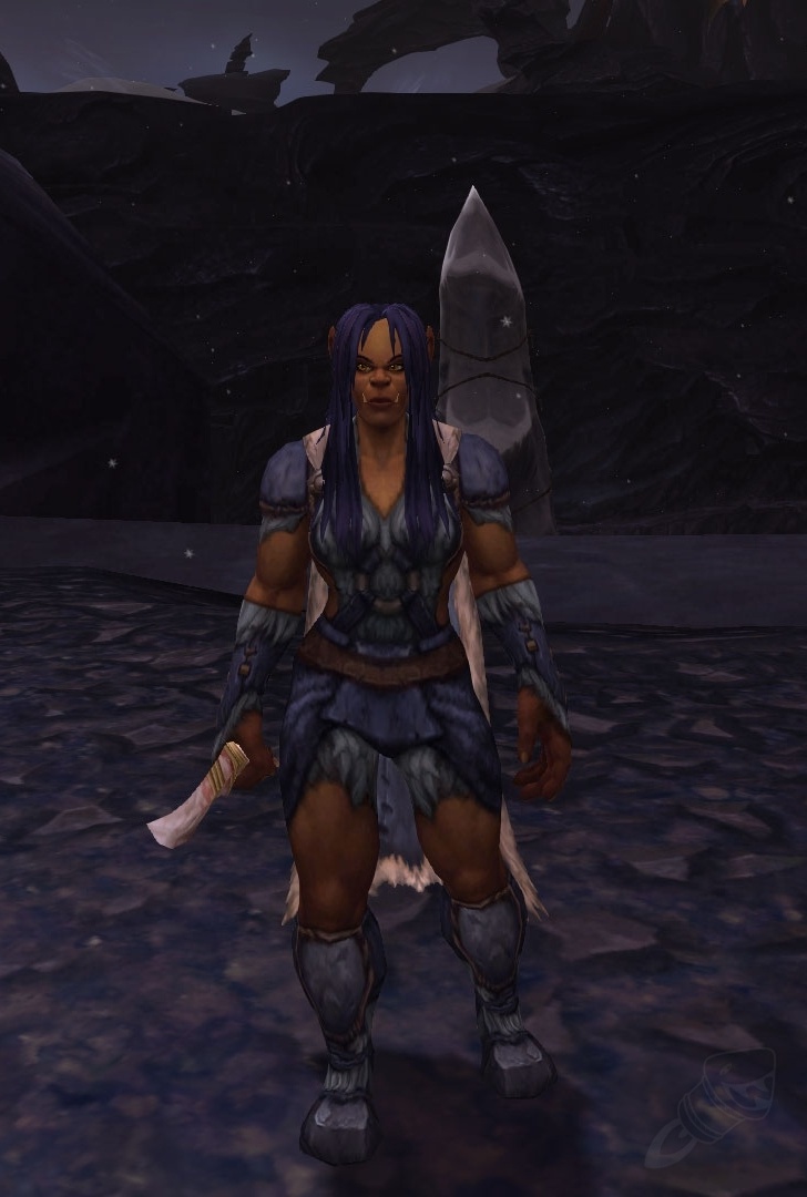 A Warrior's Shroud - Quest - World of Warcraft