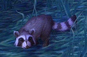 Lunarfall Raccoon - NPC - World of Warcraft