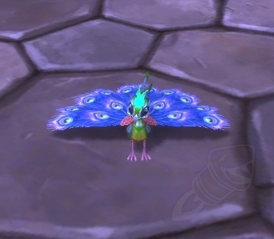 For the Birds - Quest - World of Warcraft