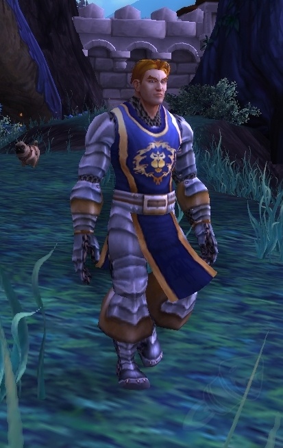 Adventurer - NPC - World of Warcraft