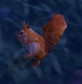 Moonlight Squirrel - NPC - World of Warcraft